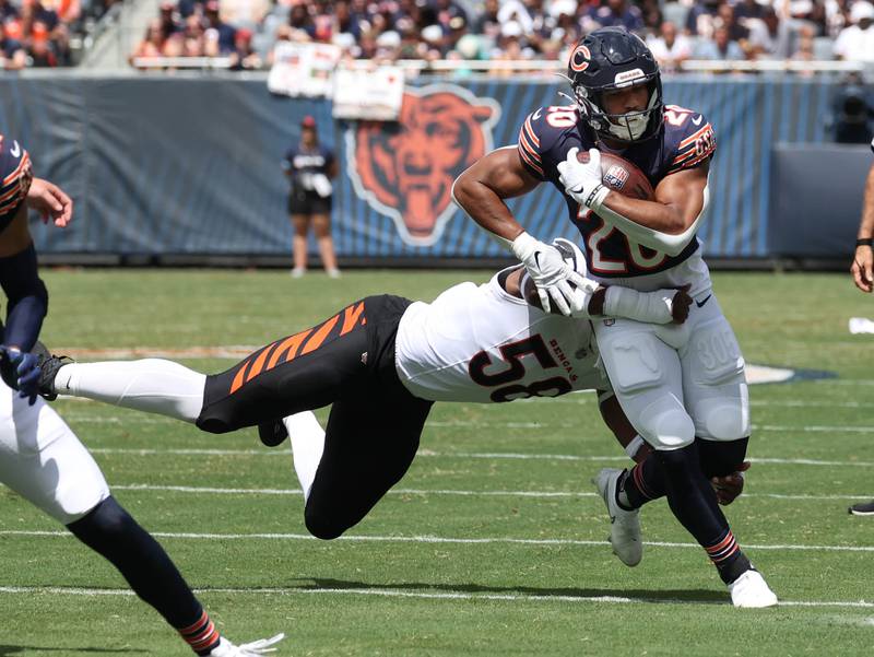 Photos: Bears, Bengals meet in preseason action at Soldier Field – Shaw ...