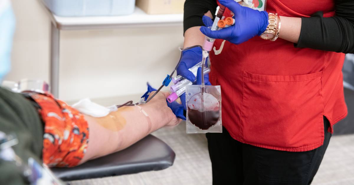 Red Cross says blood, platelet donations urgently needed – Shaw Local
