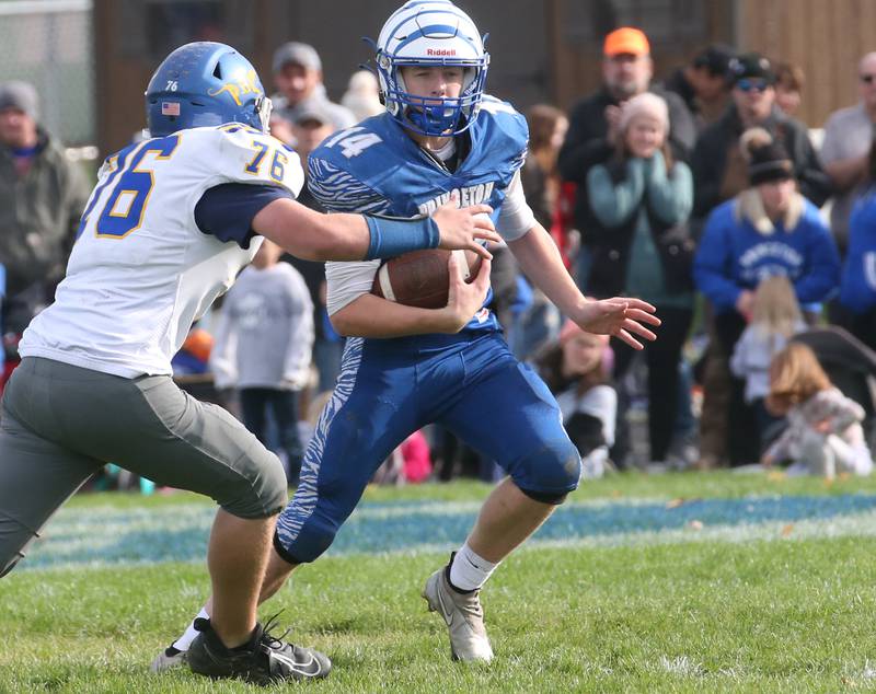 Photos: Princeton vs Paxton-Buckley-Loda Class 3A first round football ...