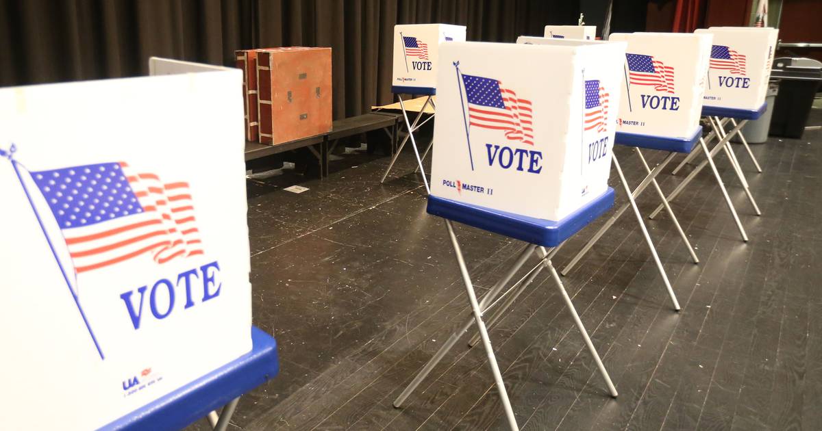 Tyson-Dunne, Smentek leading in Democratic DuPage Forest Preserve races ...