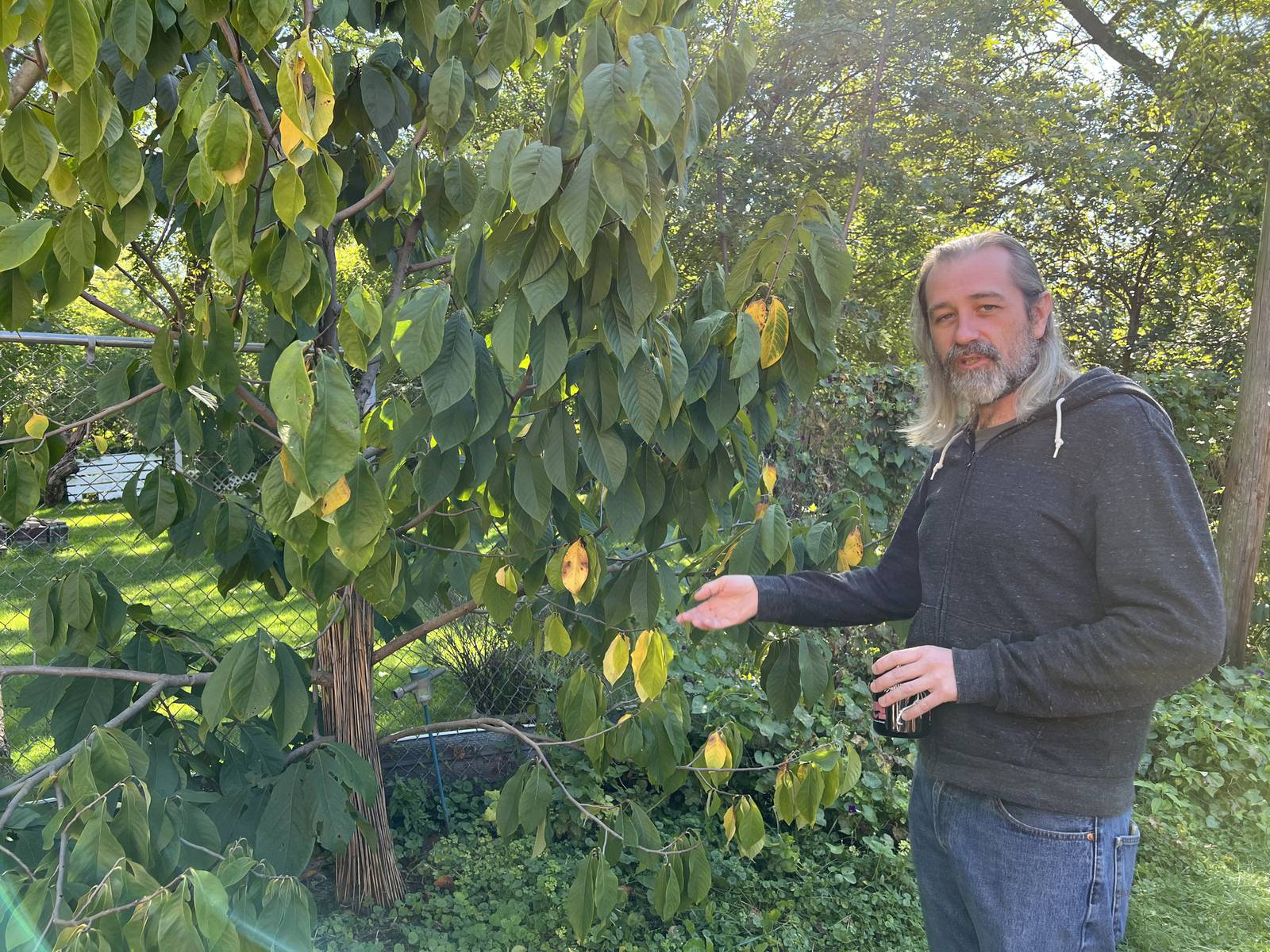 DeKalb man wins Ohio Pawpaw Festival with homegrown fruit variety: ‘We ...