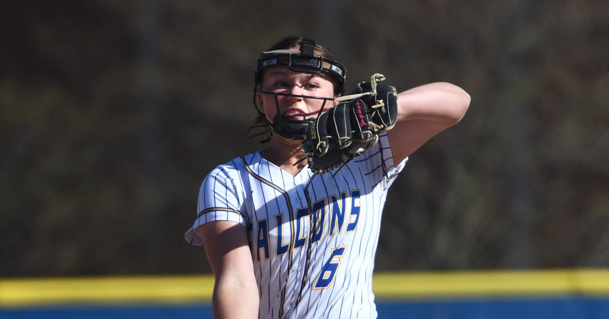 Softball notes: Wheaton North’s Erin Metz cleans up with walk-off homer ...