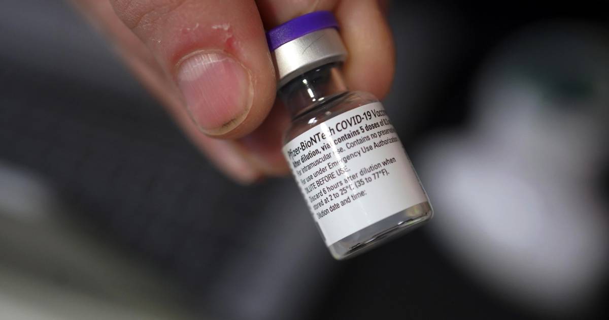 Pfizer clinics today, Thursday in Sterling, Dixon – Shaw Local