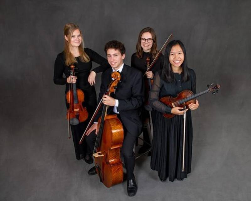 Elgin Youth Symphony Orchestra ensembles to perform at St. Charles ...