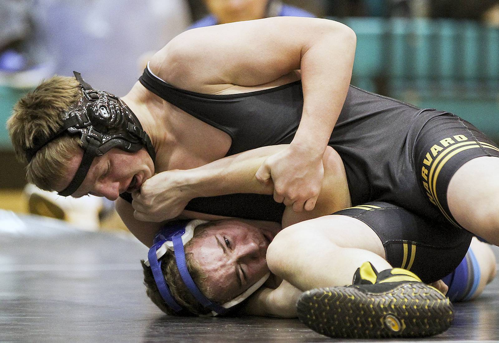 High school wrestling: Harvard wins twice, Woodstock North beats ...