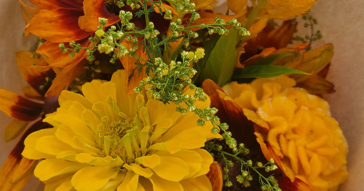 A look at grief and developing empathy – Shaw Local