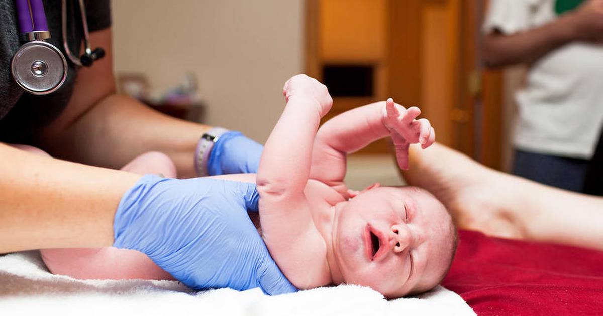 Professional birth photography a growing trend as McHenry County ...