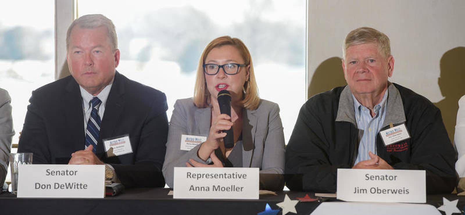 Illinois Rep. Anna Moeller pushes for LGBT-inclusive textbooks – Shaw Local
