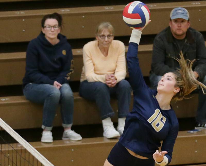 Photos: Tri-County Conference volleyball tournament- Marquette vs ...