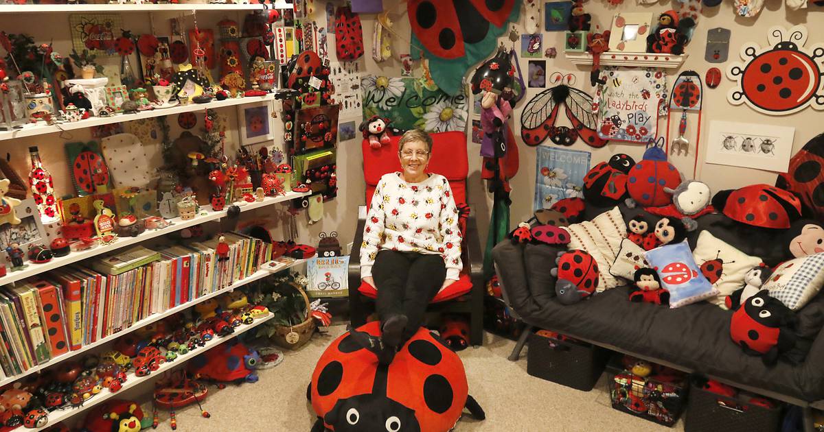 Ladybug Lady uses prestige of Guinness World Record collection to ...