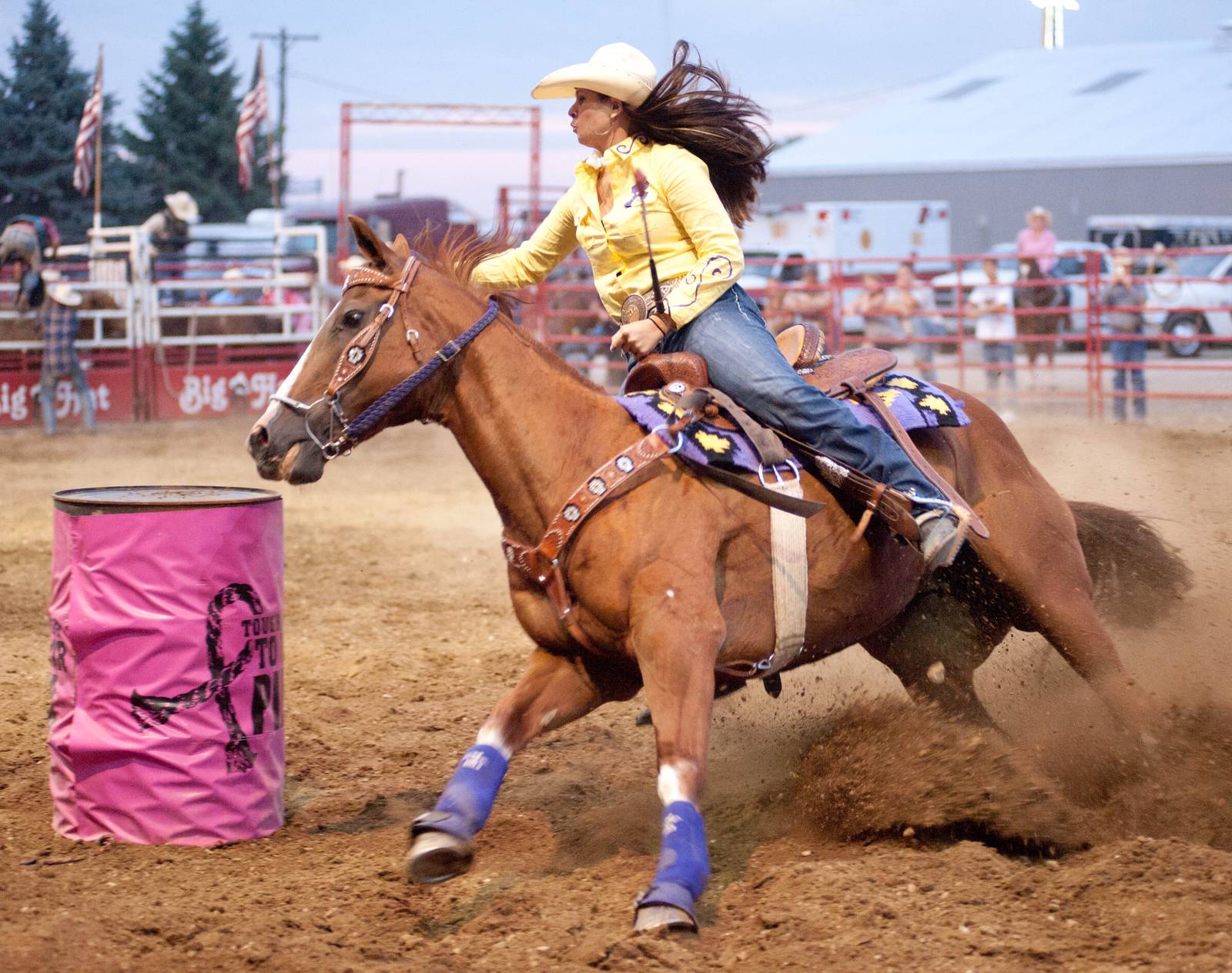 County fair highlights: Rodeo a big draw – Shaw Local