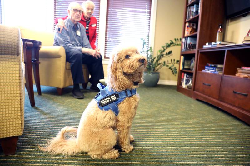 Photos: GreenFields of Geneva introduces therapy dog – Shaw Local
