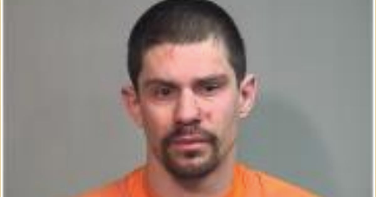 Man admits to slashing another man’s face during Harvard bar fight over ...