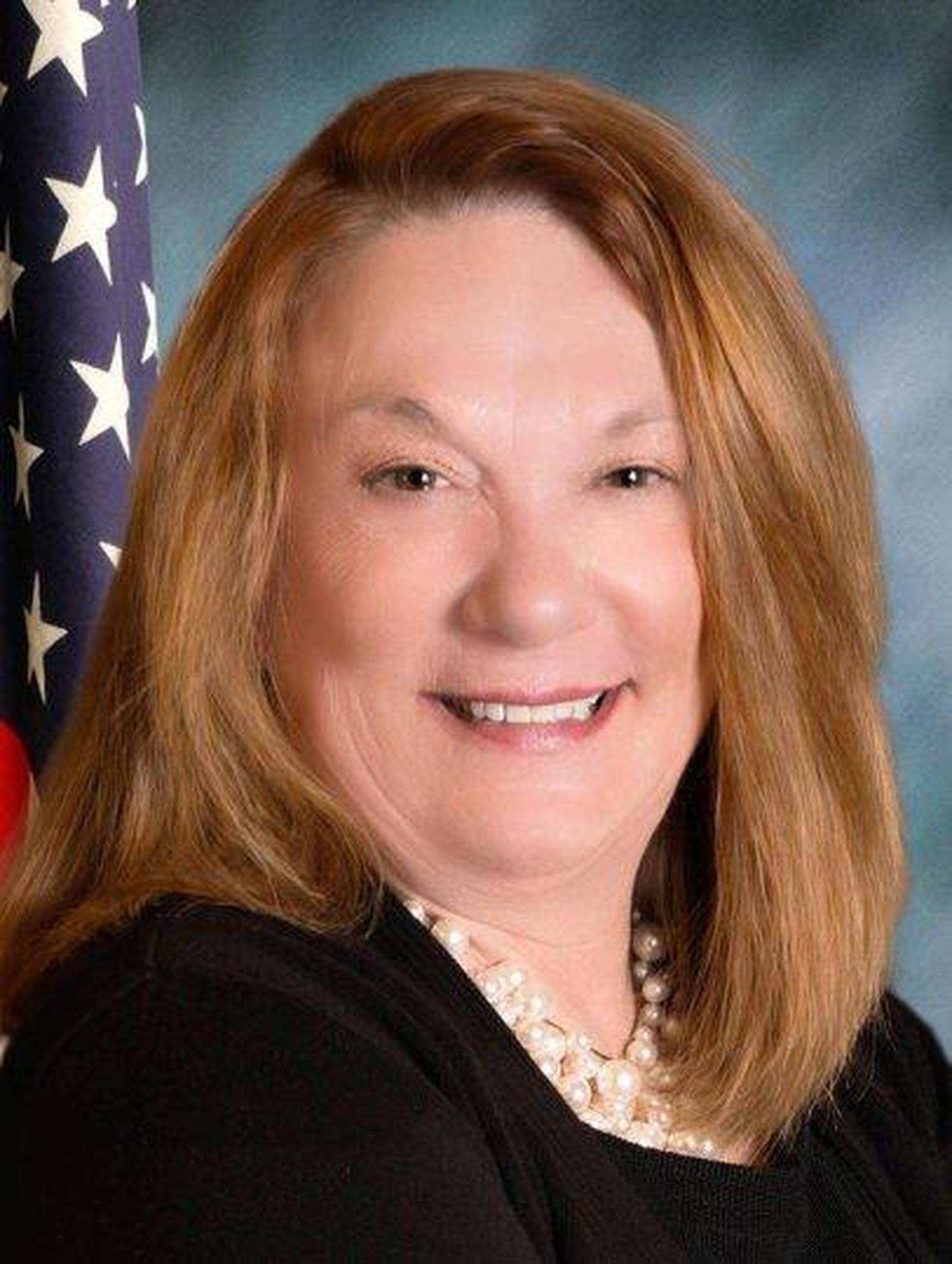 Sen. Pamela Althoff sponsors bill that would prohibit pay raises for ...