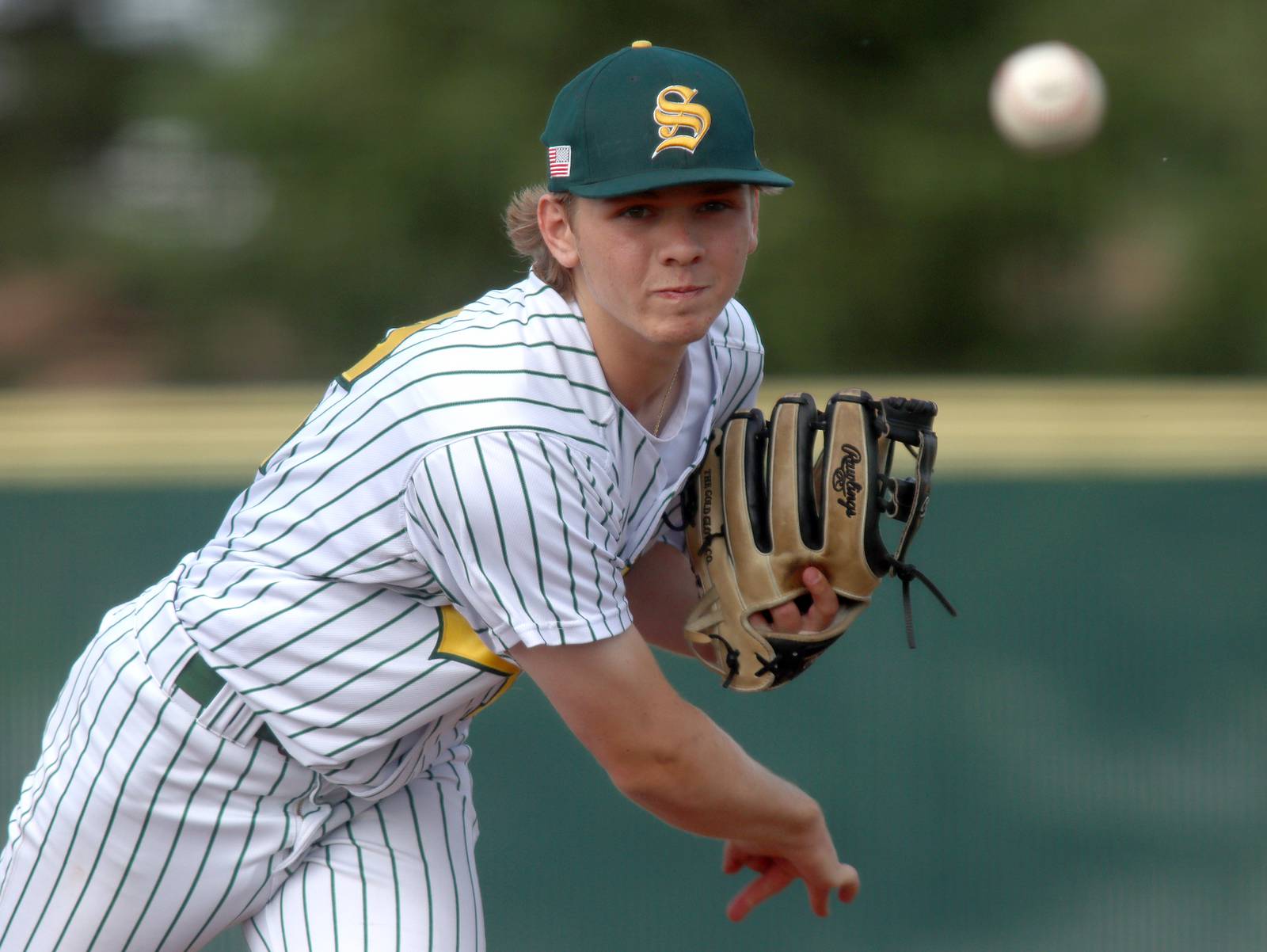 Baseball: CL South’s Mark Pachla pitches Gators past Lake Forest, into ...