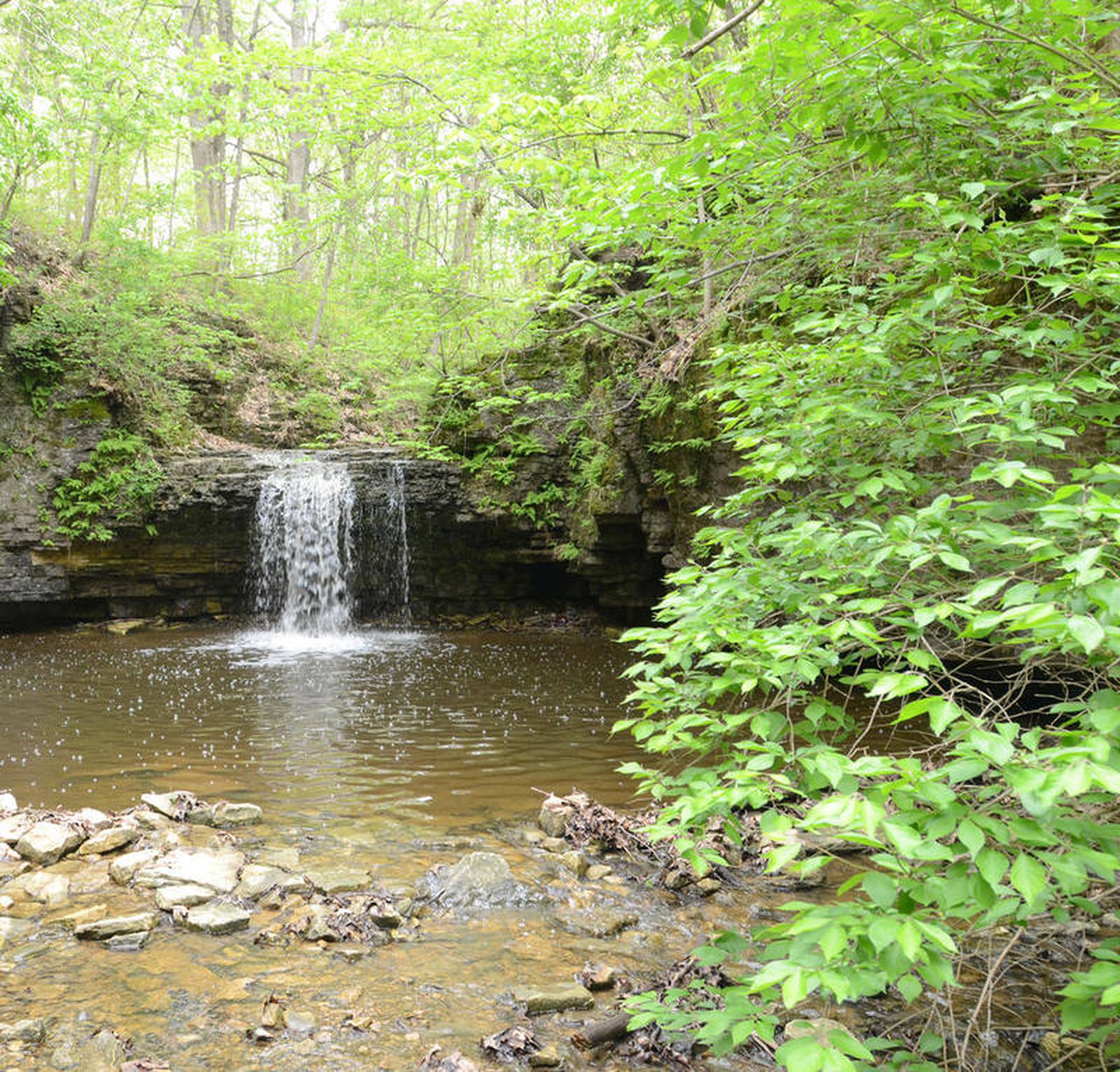 What a relief: 4 DuPage County forest preserves to upgrade to flush ...