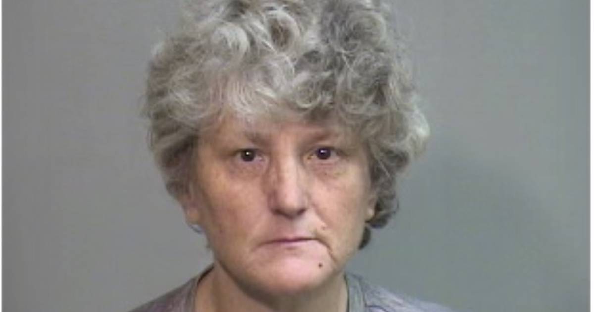 Police: McCullom Lake woman grabbed, kicked officer in groin during ...