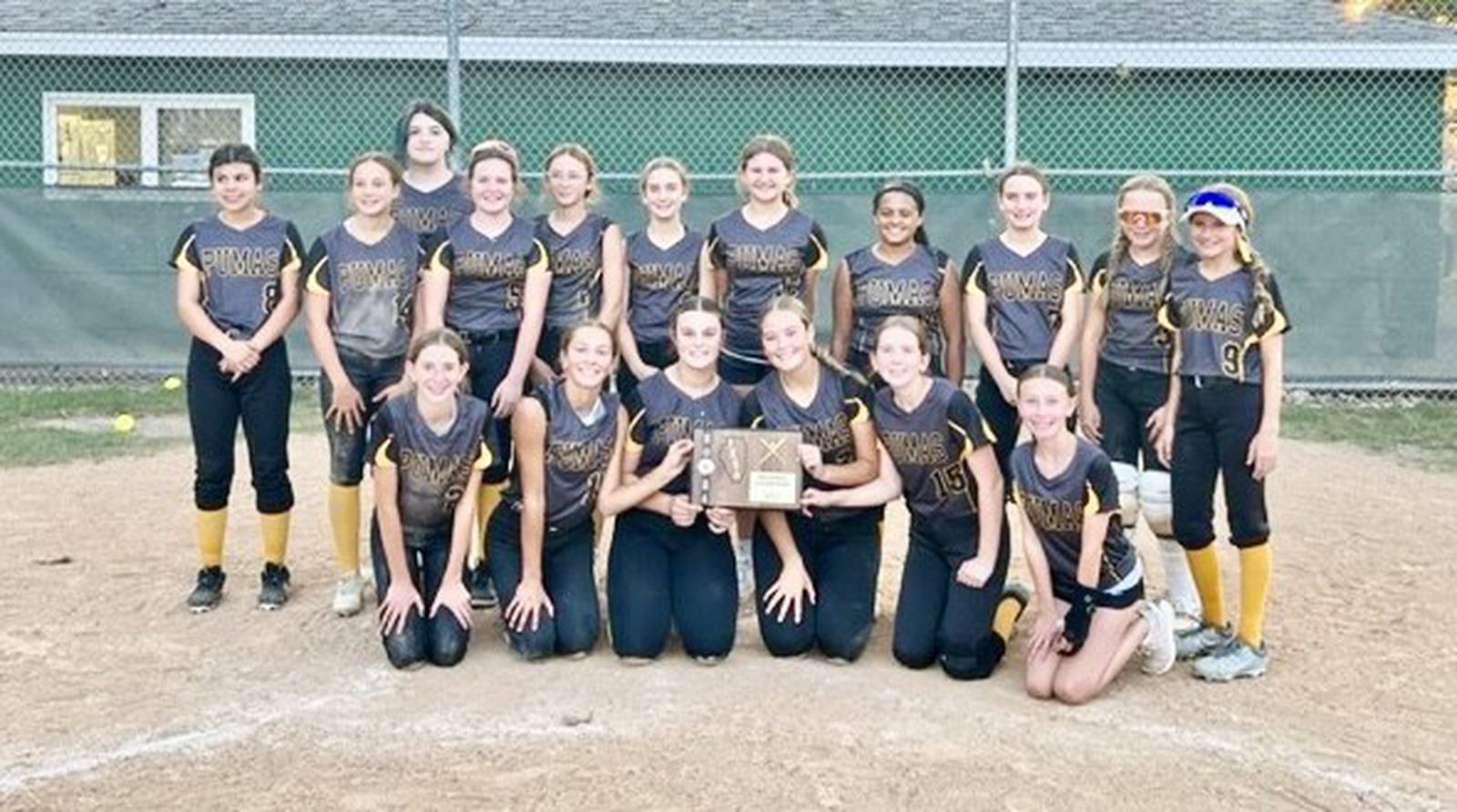 Junior high softball: Hannah Heiberger, Putnam County punches ticket to ...