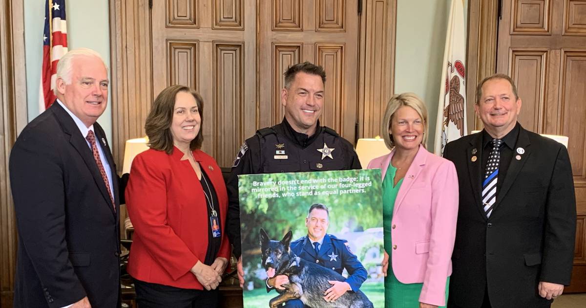 Rep. Weber, Illinois House honor Dax, Deputy Forlenza – Shaw Local
