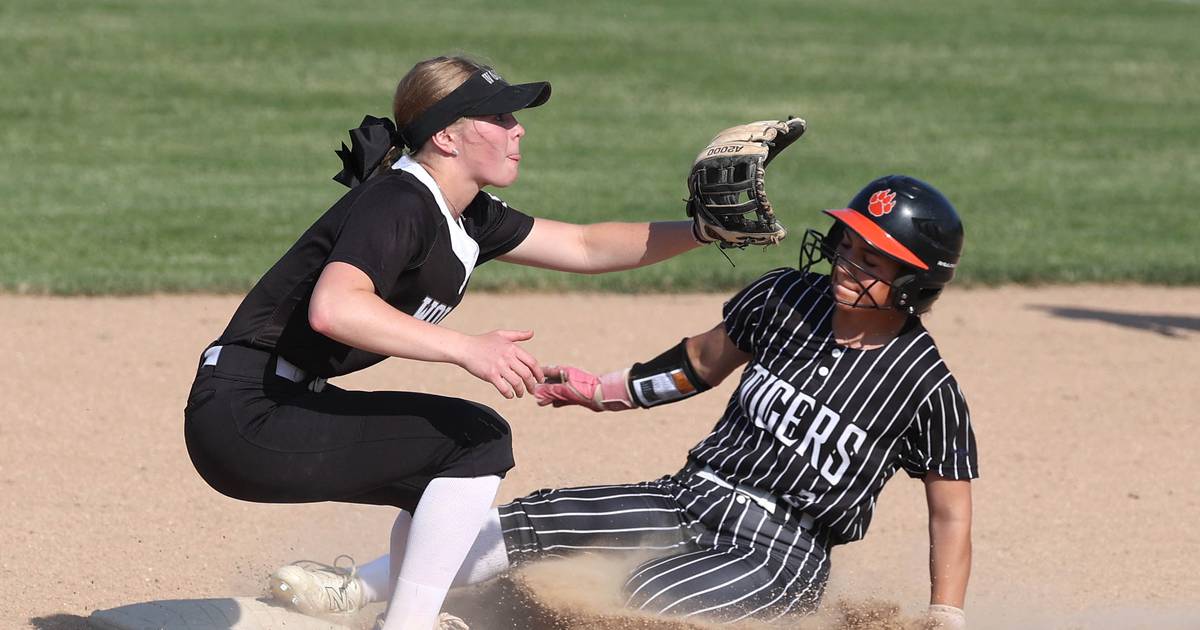 Softball: 2025 All-Fox Valley Conference team announced – Shaw Local