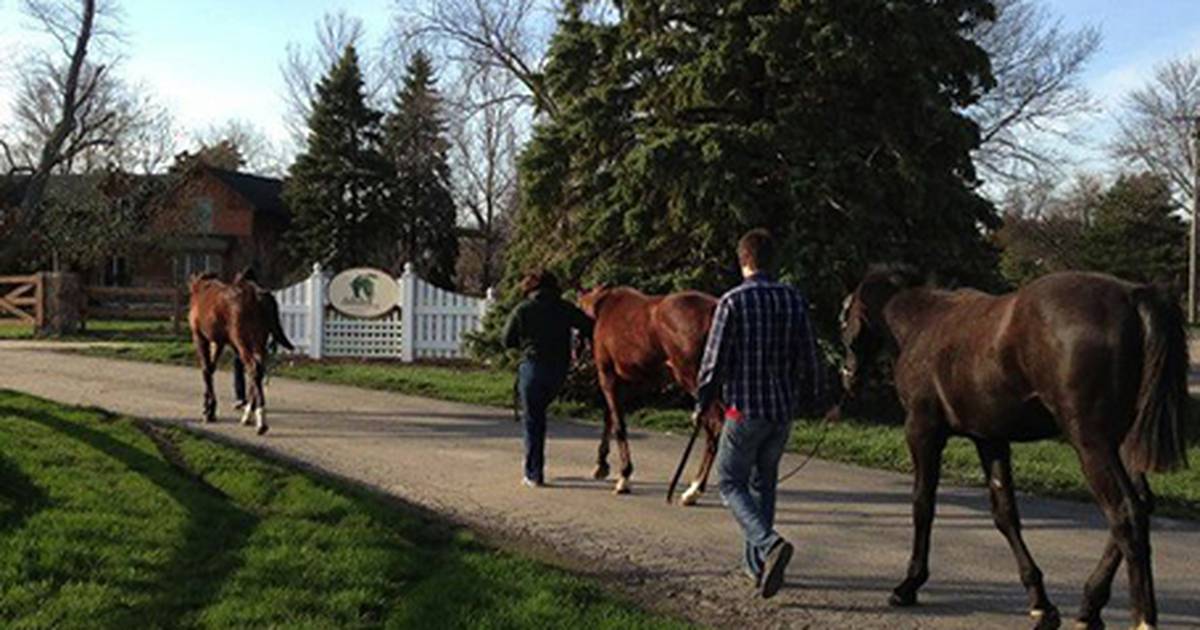 Aliboo Farm shows its heart during disaster – Shaw Local