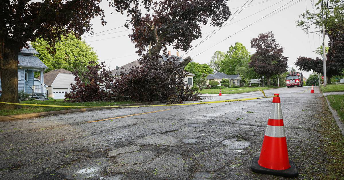 Downed trees, live wires, power outages after thunderstorms hit McHenry ...