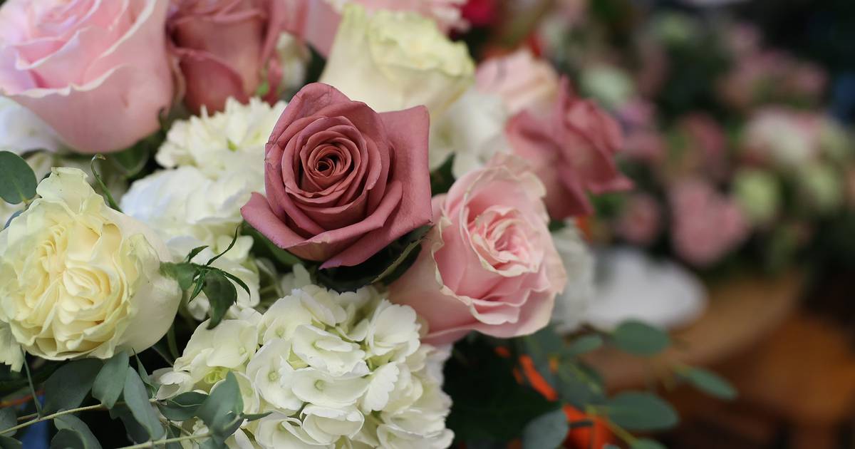 Huntley Lions Club Flower Show Wednesday to highlight florists ...
