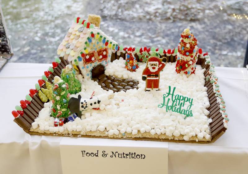 Photos: Gingerbread houses at Northwestern Medicine McHenry Hospital ...