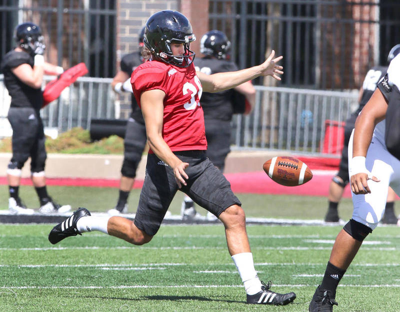 NIU punter Ference a finalist for Campbell Trophy – Shaw Local