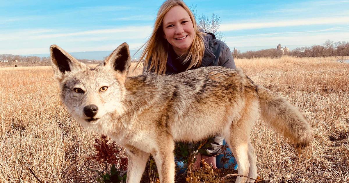 5 Things to Do in Will County: Learn about area coyotes and white ...