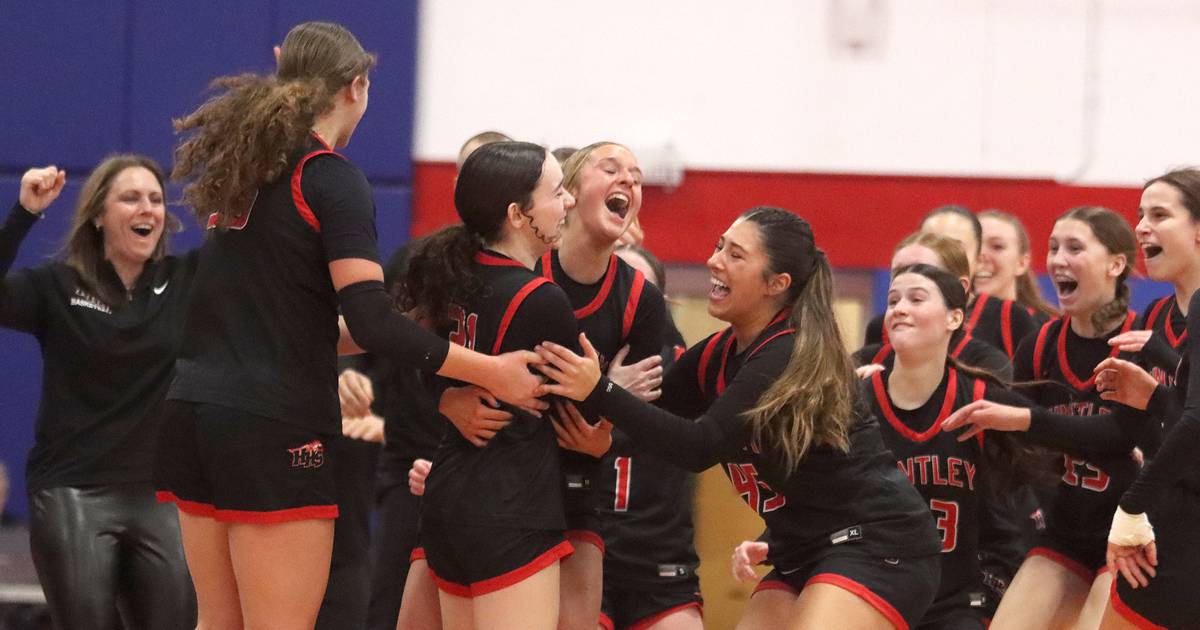 Girls basketball: IHSA postseason schedules for teams across McHenry ...