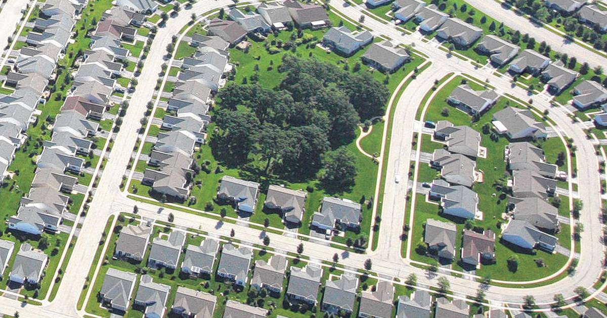 Huntley Village Board split on allowing golf carts to be driven ...