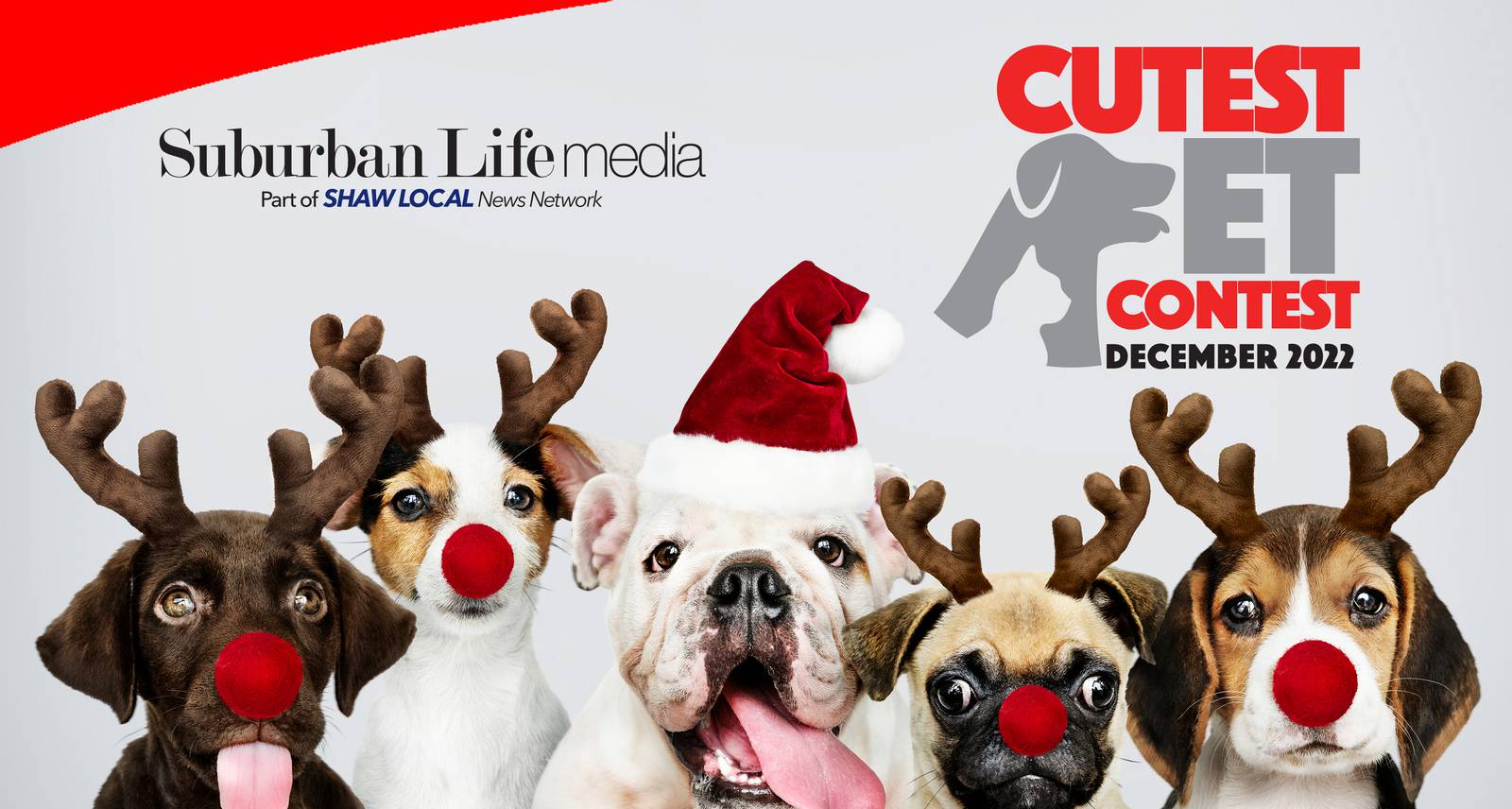 Vote in My Suburban Life December Cutest Pet Contest today! – Shaw Local