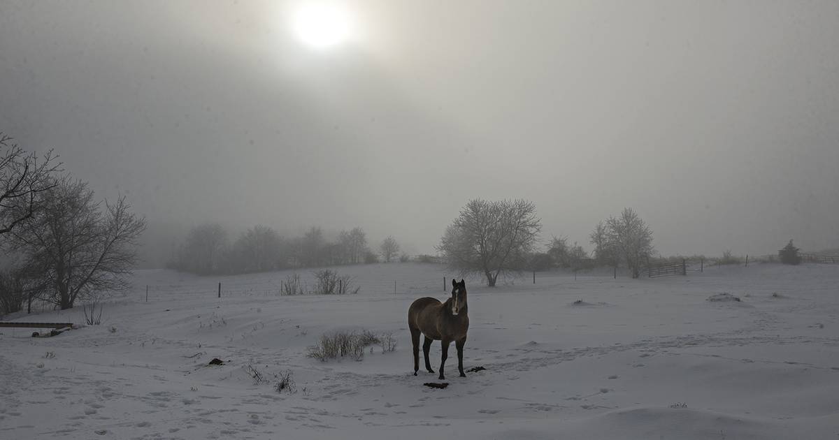 White Pines Ranch – Shaw Local