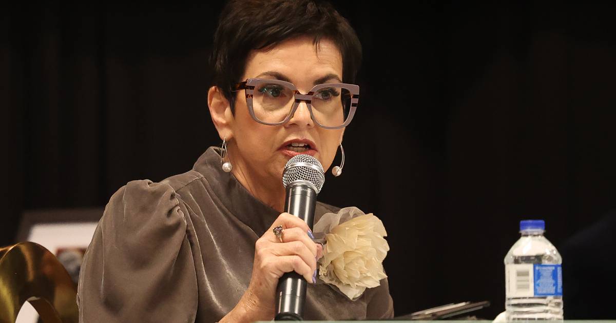 State Rep. Manley of Joliet named to commission that audits state ...