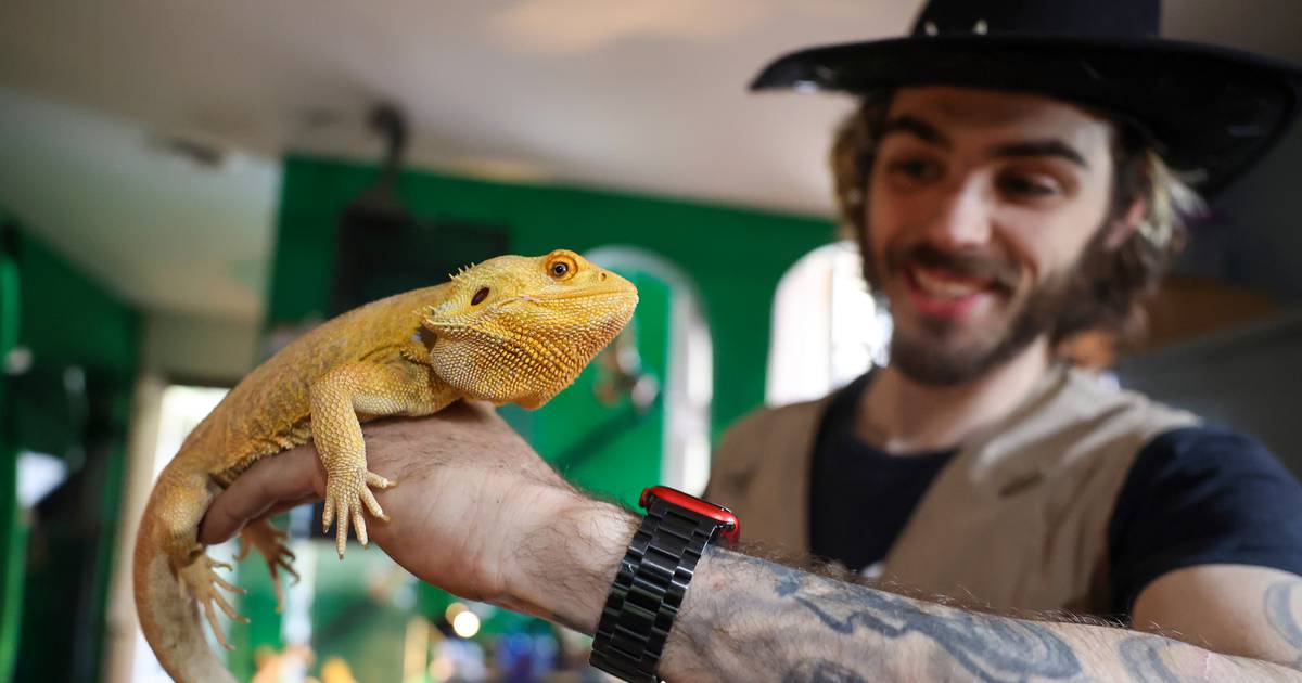 Baran-Unland: Kankakee County reptile rescue needs community’s help ...