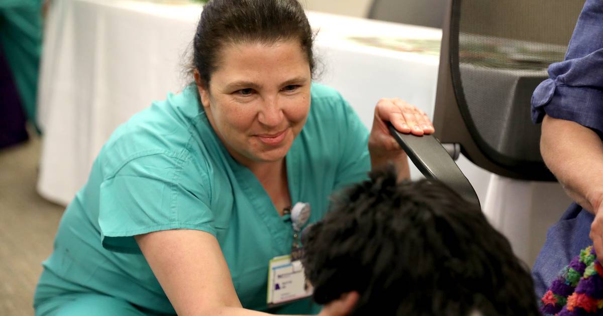 Photos: Nurses celebrated at Northewestern Medicine Delnor Hospital in ...