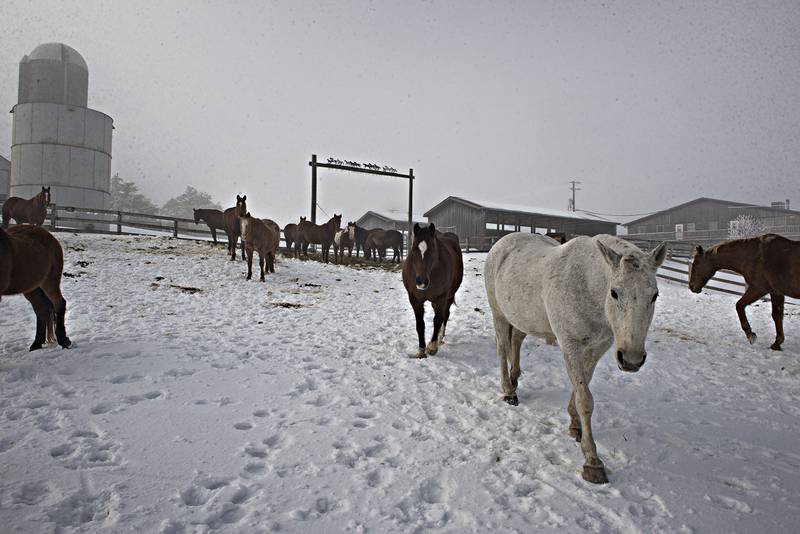 White Pines Ranch – Shaw Local