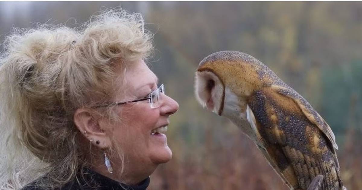 Raptor education program to be held in Peru on July. 29 – Shaw Local