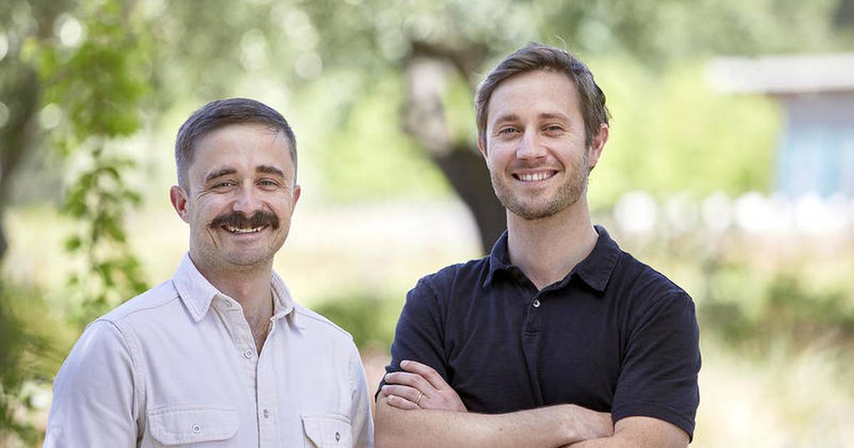 Uncorked: On the world stage with Hamel Family – Shaw Local