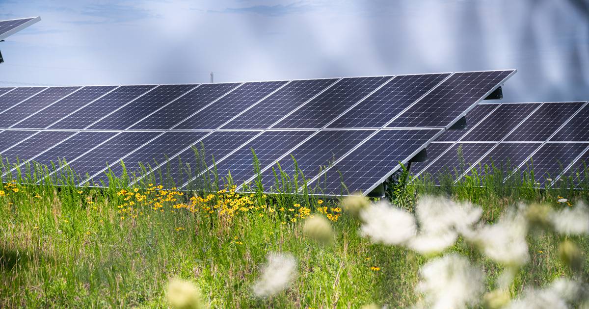 Solar project proposed near Franklin Grove – Shaw Local