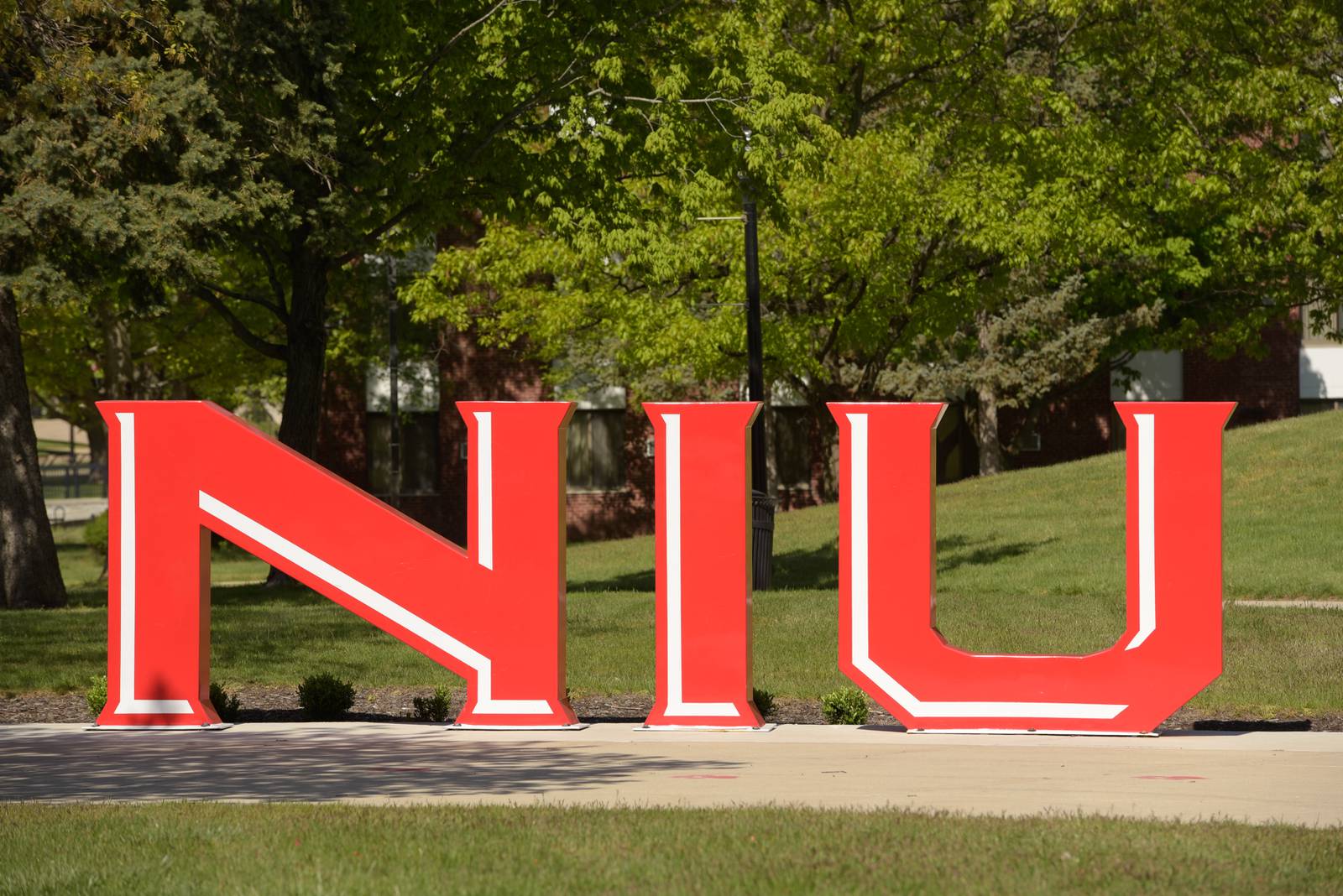 NIU student charged in 2024 sex assault at DeKalb frat house – Shaw Local