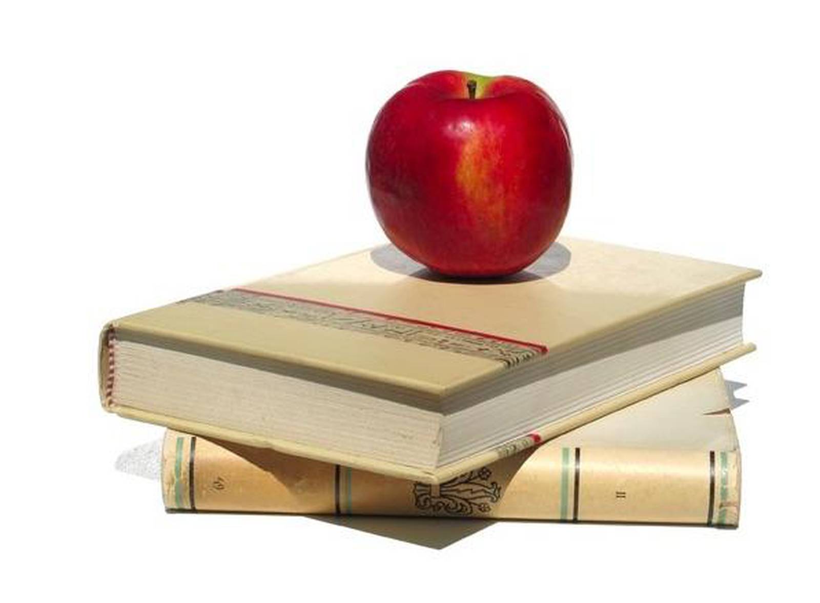 Additional brick work raises cost of Thompson project – Shaw Local