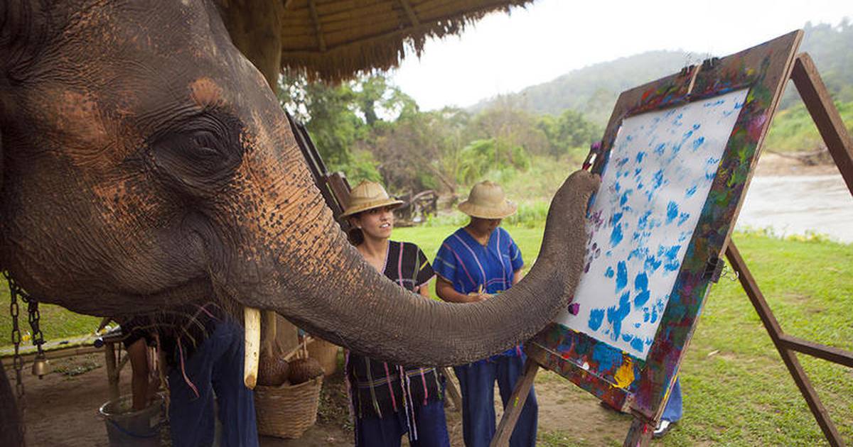 Big elephants and art meet at Austin Hope – Shaw Local