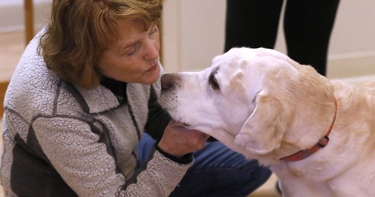 How 4 women saved their sick dogs is now a feature film; upcoming ...