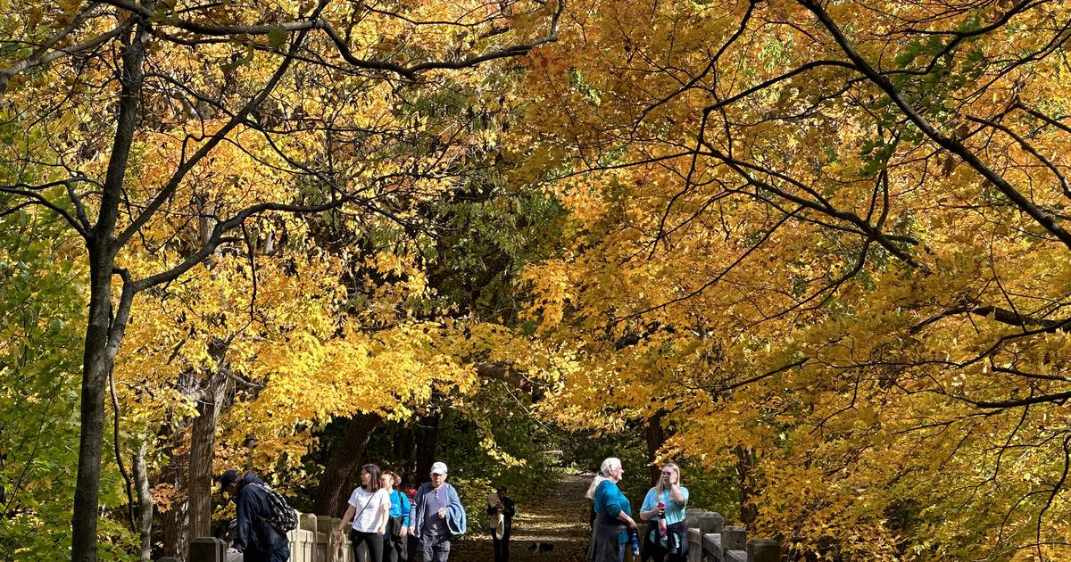 Photos: Fall colors begin to peak in the Illinois Valley – Shaw Local
