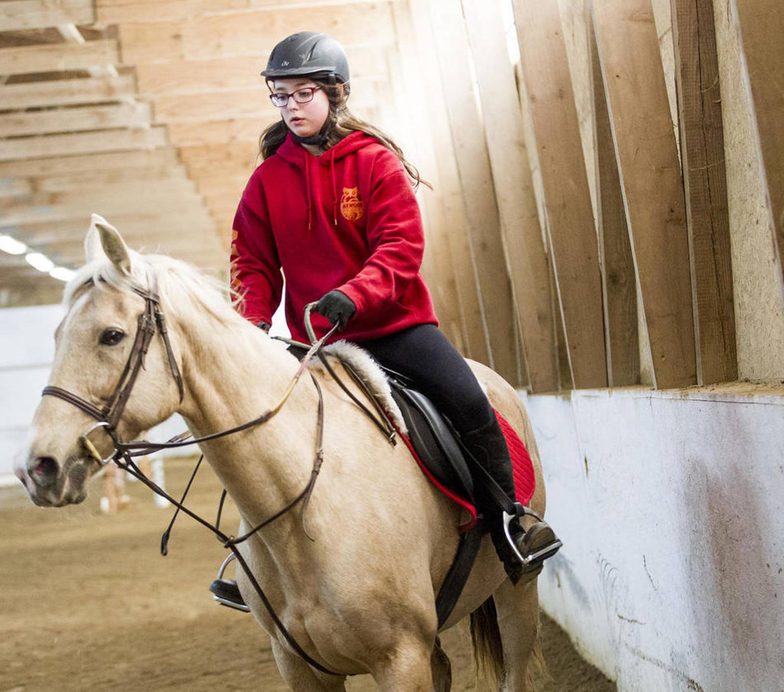 Future of Silver Lining Equestrian in Lake in the Hills remains unclear – Shaw Local
