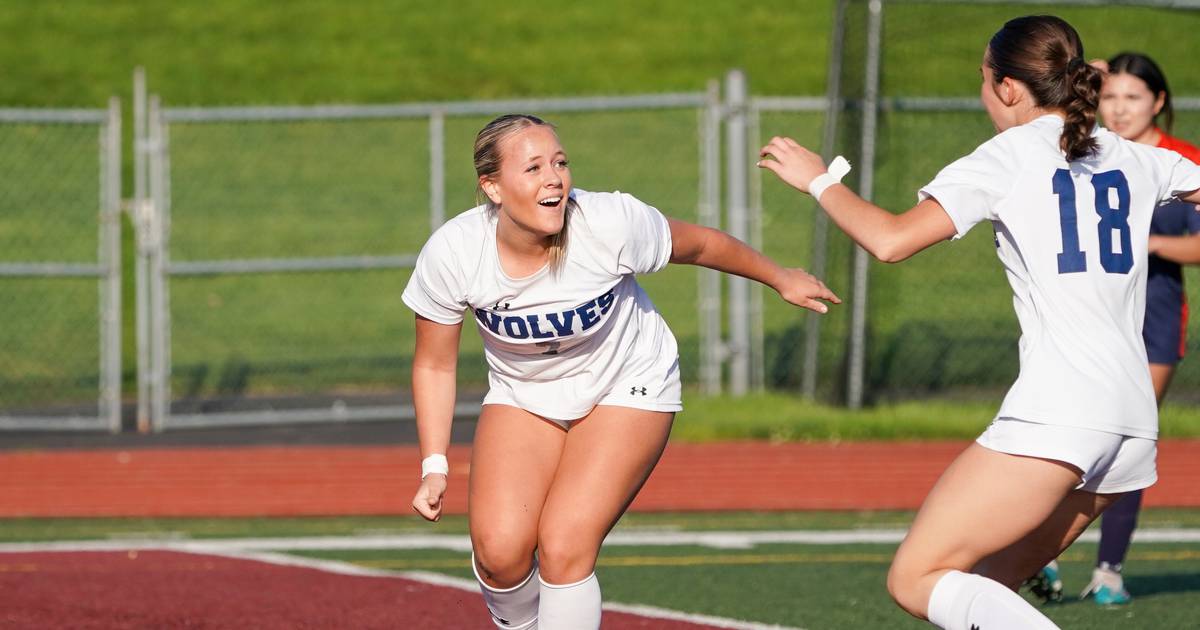 Girls soccer: Gabby McPhee’s goal helps Oswego East eliminate Oswego ...