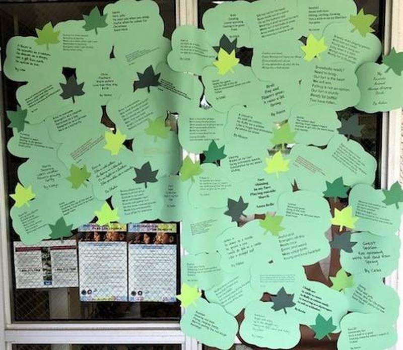 Troy Craughwell students write “Poe-Tree” poems – Shaw Local