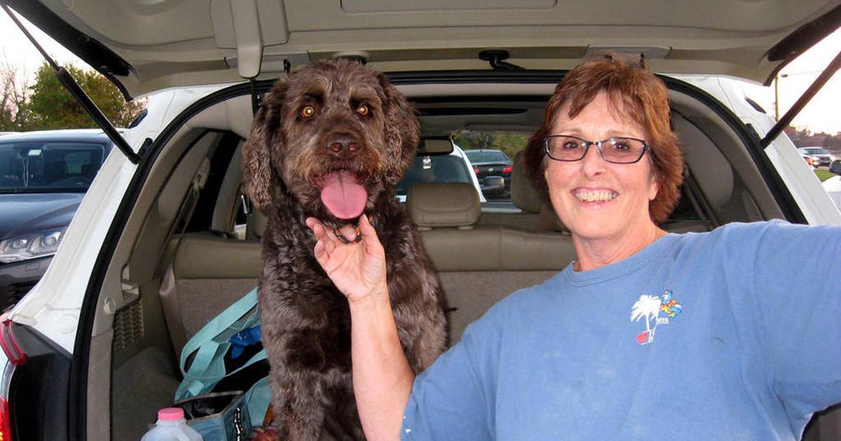 Face Time with Diane Roloff – Shaw Local